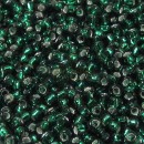 Seed Beads